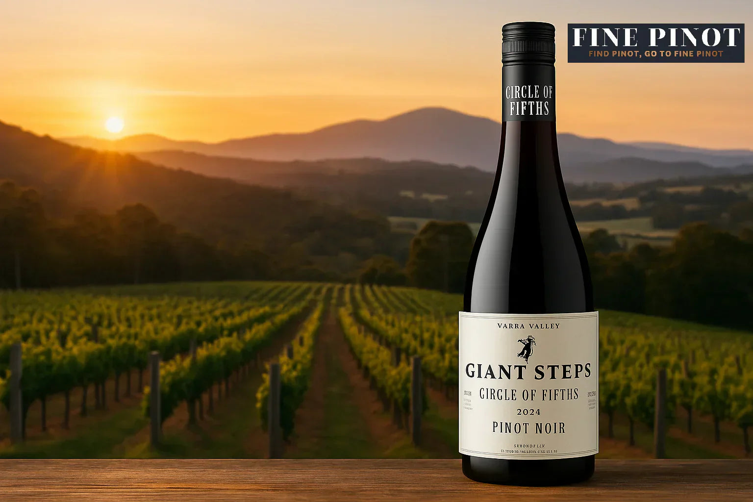 Giant Steps Circle of Fifths Pinot Noir 2024 – A Harmonious Blend from ...